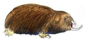 Yin Shu :: Benja Mitológico