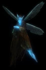 Acalica :: Benja Mitológico